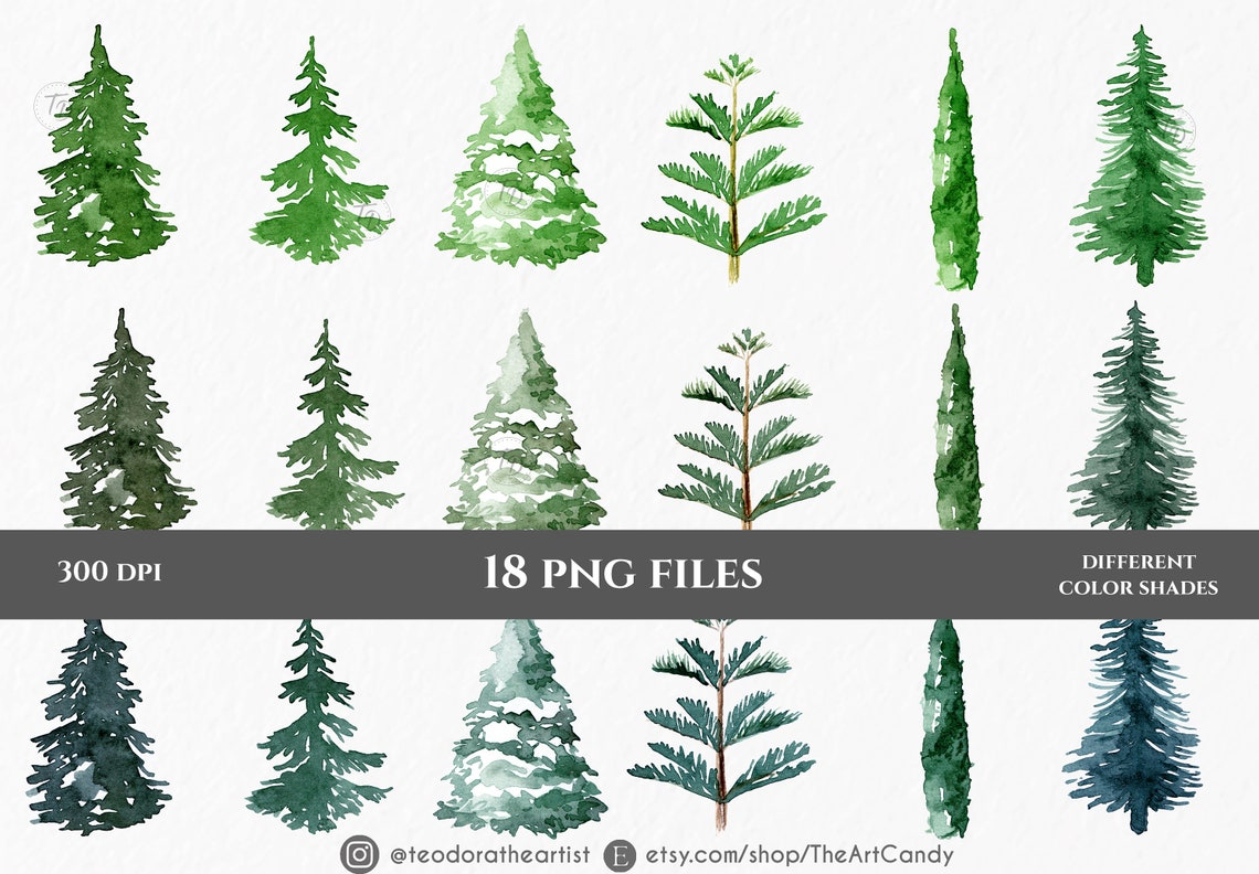 Winter Trees Watercolor Clipart Christmas Clipart PNG PINE - Etsy