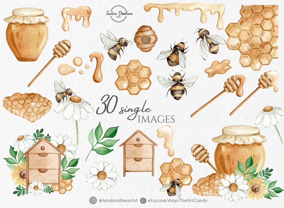 Watercolor Honey Bee Clipart PNG Hand Painted Watercolor - Etsy