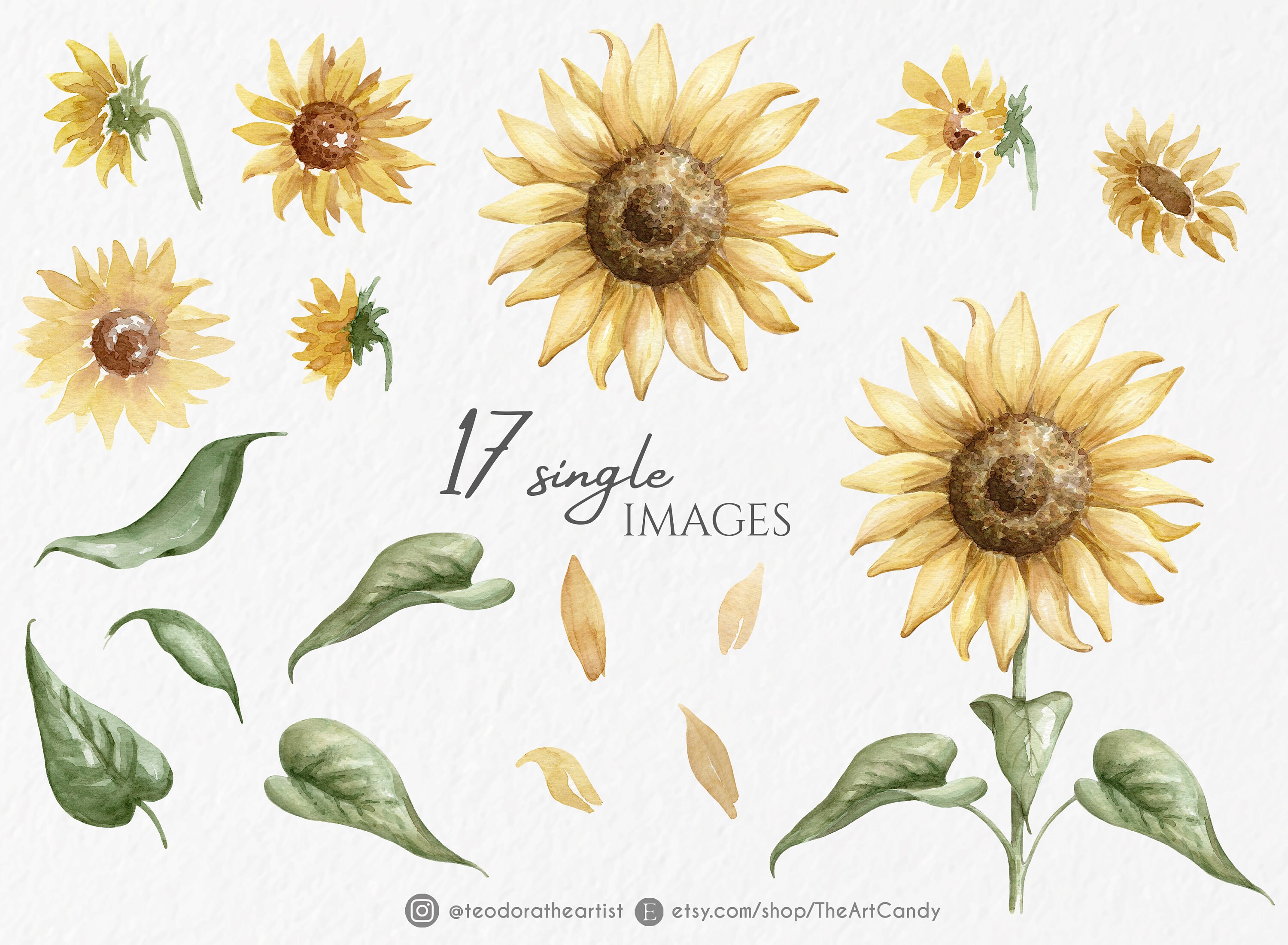 Watercolor Clipart Sunflower PNG | Hand Painted Clipart Watercolor ...
