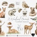 Woodland Animals Watercolor Clipart Bundle Forest Animals - Etsy