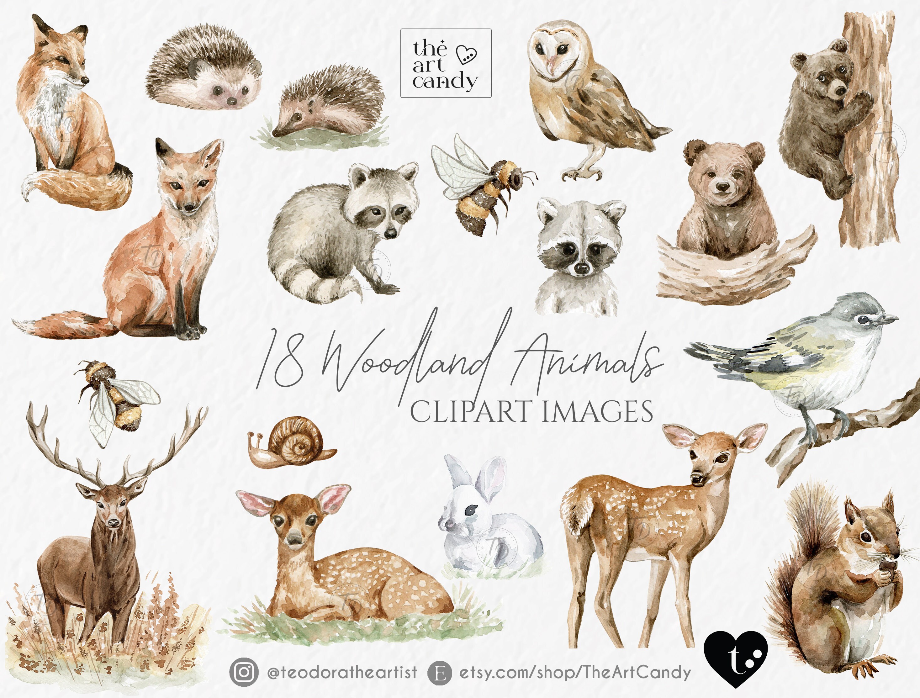 Woodland Animals Watercolor Clipart Bundle Forest Animals - Etsy