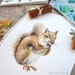 Watercolor Squirrel Clipart | Hand Painted Forest Animal Illustration ...