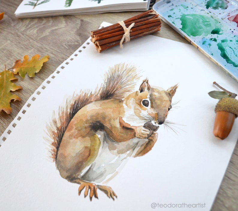 Watercolor Squirrel Clipart | Hand Painted Forest Animal Illustration ...