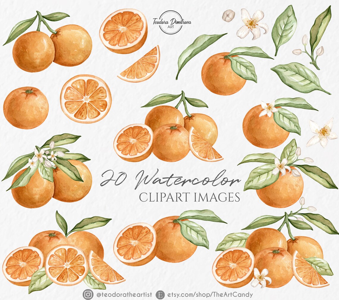 Oranges Watercolor Clipart Set | Hand Painted Watercolor Orange Fruits ...