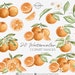Oranges Watercolor Clipart Set | Hand Painted Watercolor Orange Fruits ...
