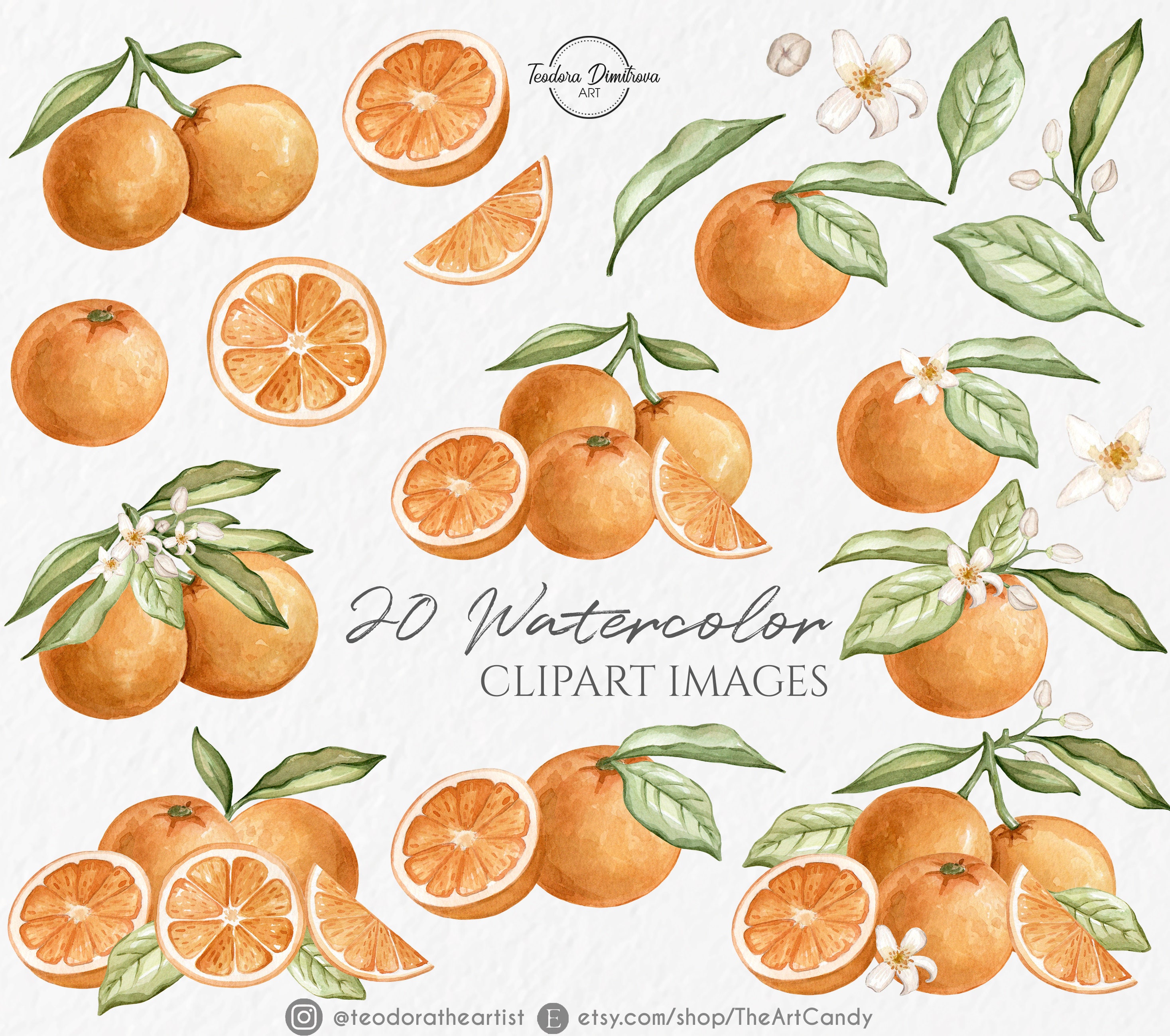 Oranges Watercolor Clipart Set | Hand Painted Watercolor Orange Fruits ...