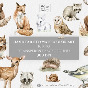 Woodland Animals Watercolor Clipart | Forest Animals PNG- Deer, Fox ...