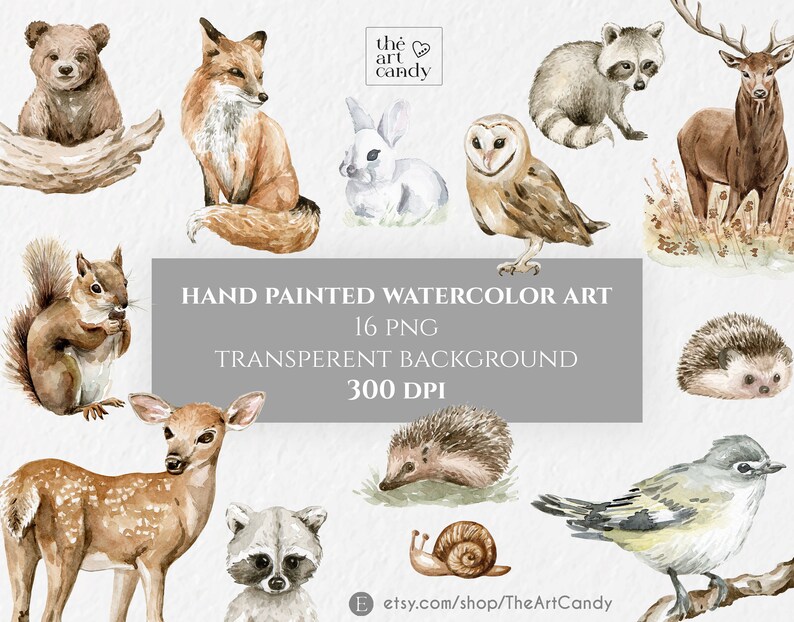 Woodland Animals Watercolor Clipart | Forest Animals PNG- Deer, Fox ...
