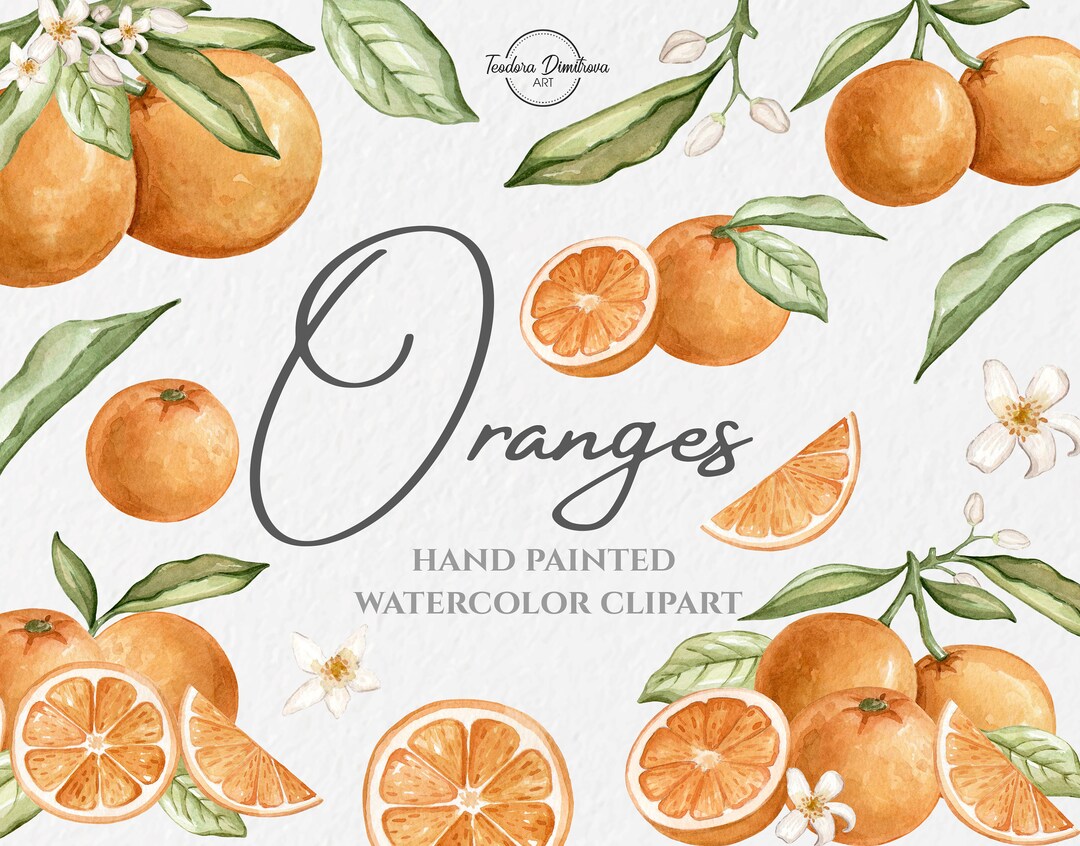 Oranges Watercolor Clipart Set | Hand Painted Watercolor Orange Fruits ...