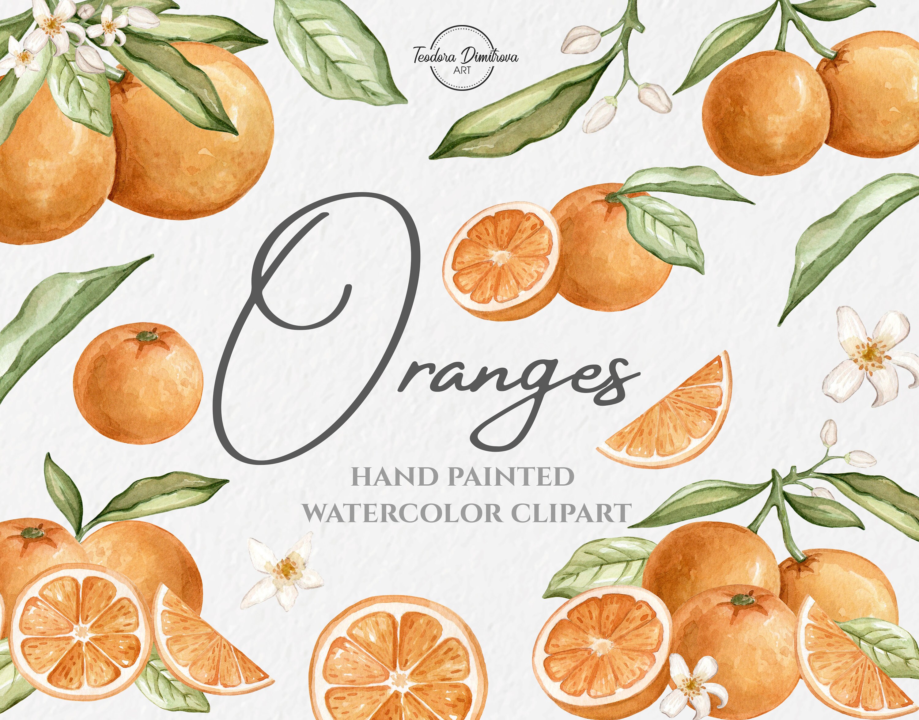 Oranges Watercolor Clipart Set | Hand Painted Watercolor Orange Fruits ...