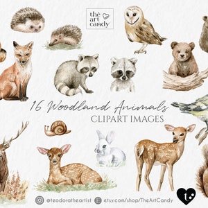 Woodland Animals Watercolor Clipart | Forest Animals PNG- Deer, Fox ...