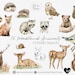 Woodland Animals Watercolor Clipart | Forest Animals PNG- Deer, Fox ...