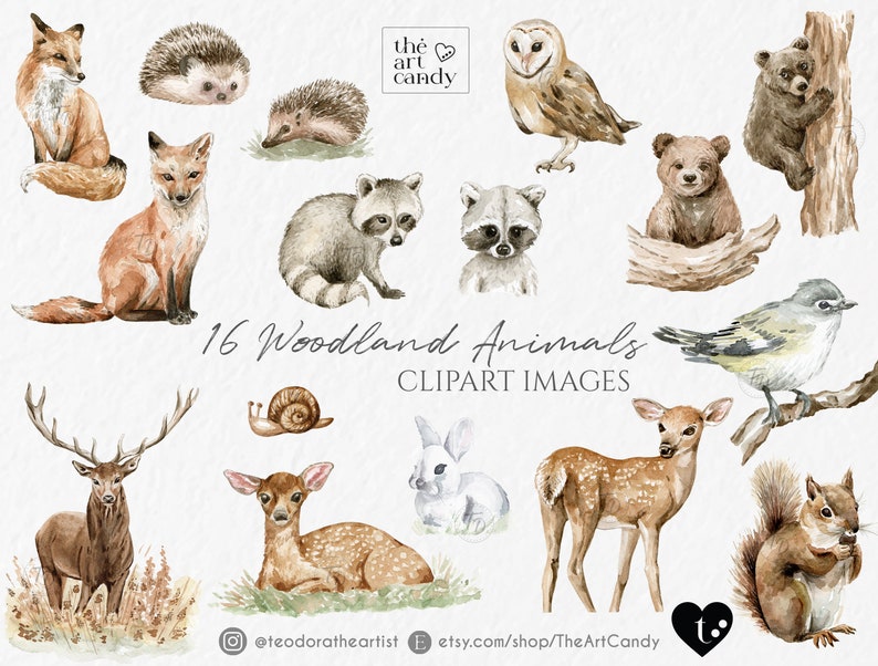 Woodland Animals Watercolor Clipart | Forest Animals PNG- Deer, Fox ...