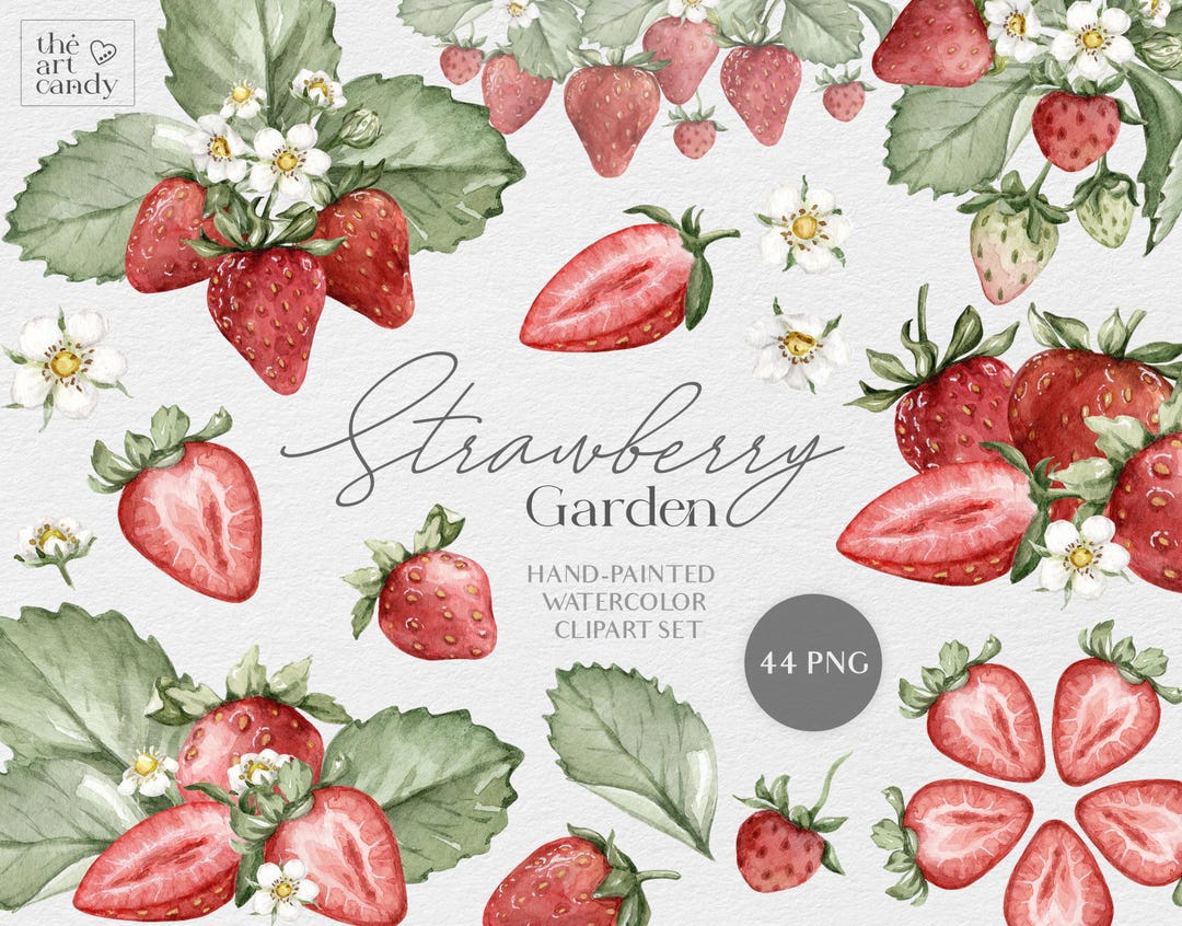 Strawberry Watercolor Clipart Set | Hand Painted Watercolor Strawberry ...