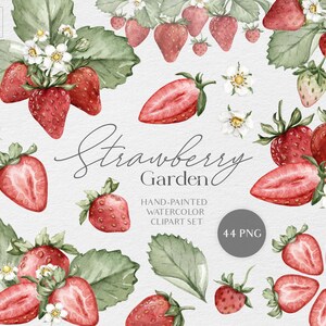Strawberry Watercolor Clipart Set | Hand Painted Watercolor Strawberry ...