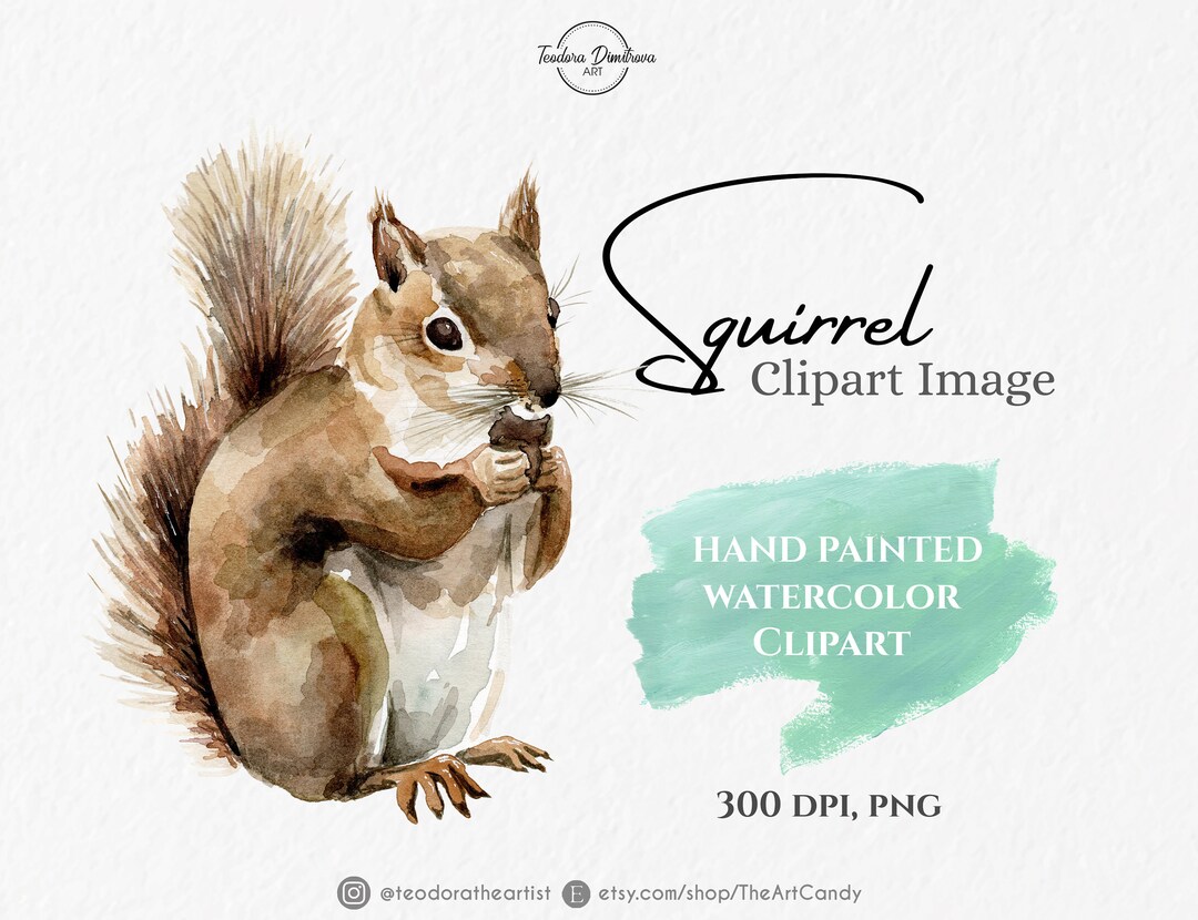 Watercolor Squirrel Clipart | Hand Painted Forest Animal Illustration ...