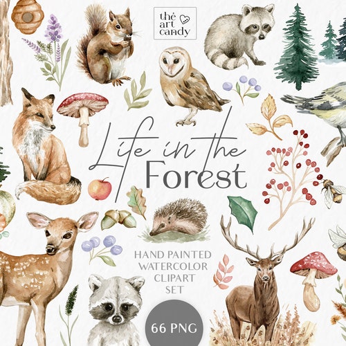 Woodland Animals Watercolor Clipart Bundle Forest Animals - Etsy