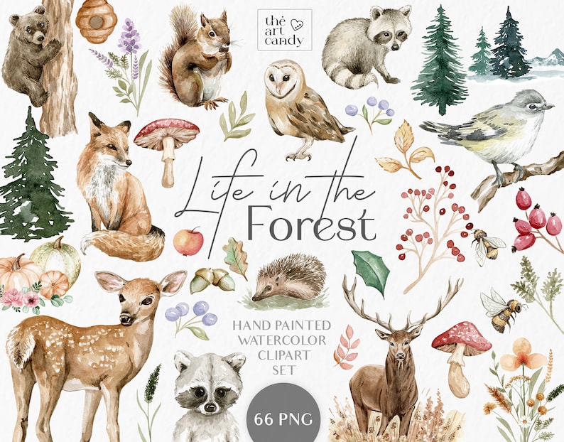 Woodland Animals Watercolor Clipart Bundle Forest Animals - Etsy