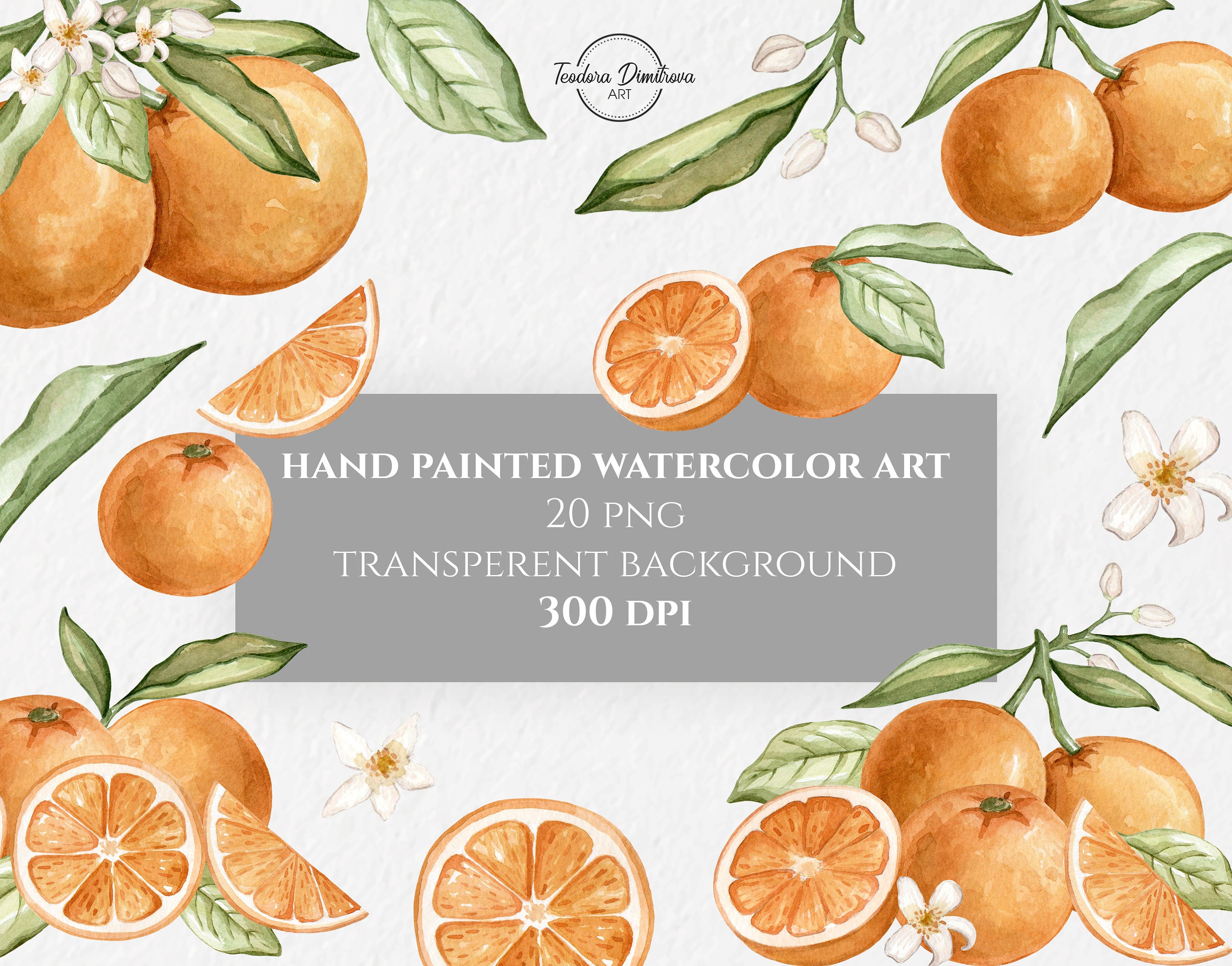 Oranges Watercolor Clipart Set | Hand Painted Watercolor Orange Fruits ...