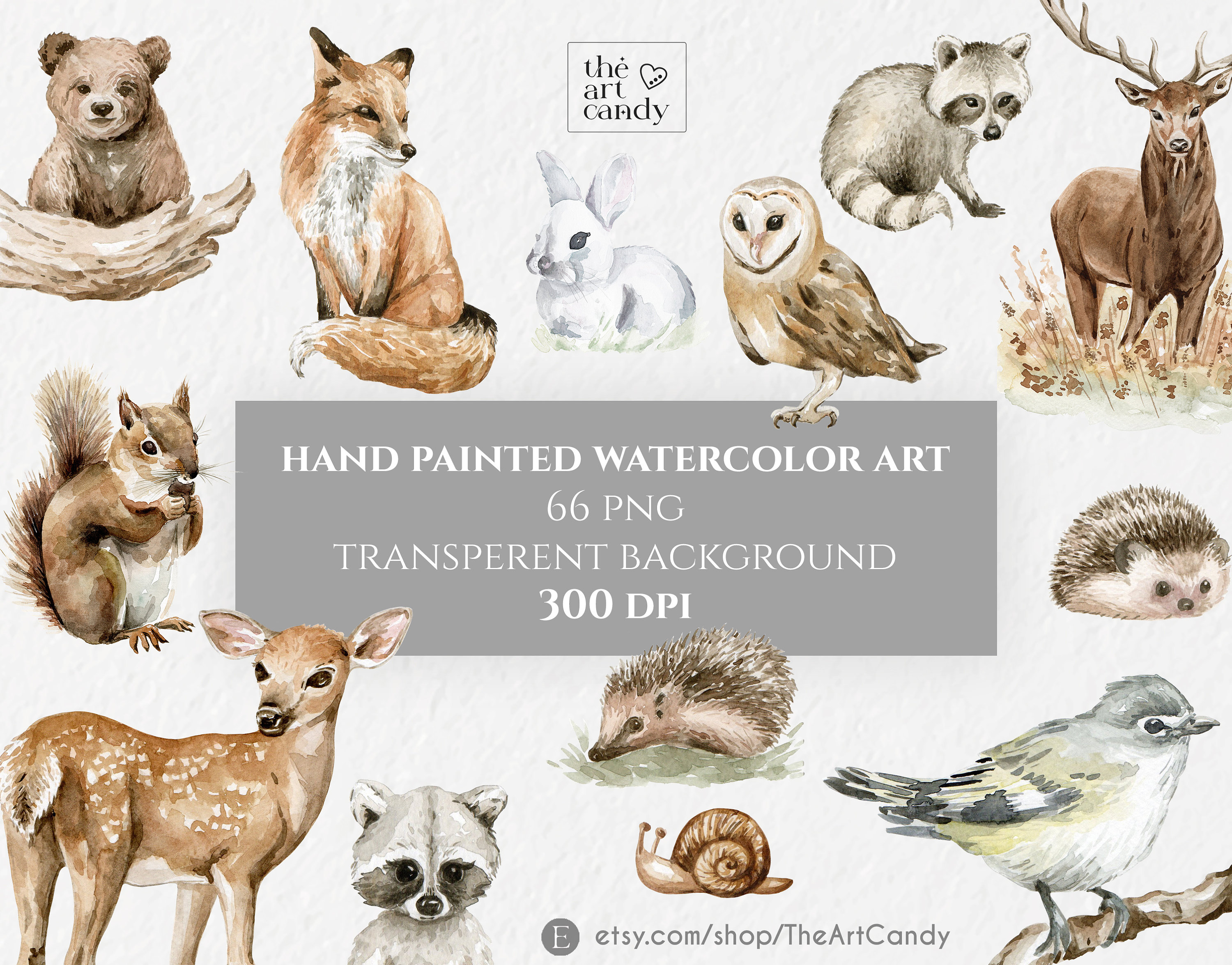 Woodland Animals Watercolor Clipart Bundle Forest Animals - Etsy