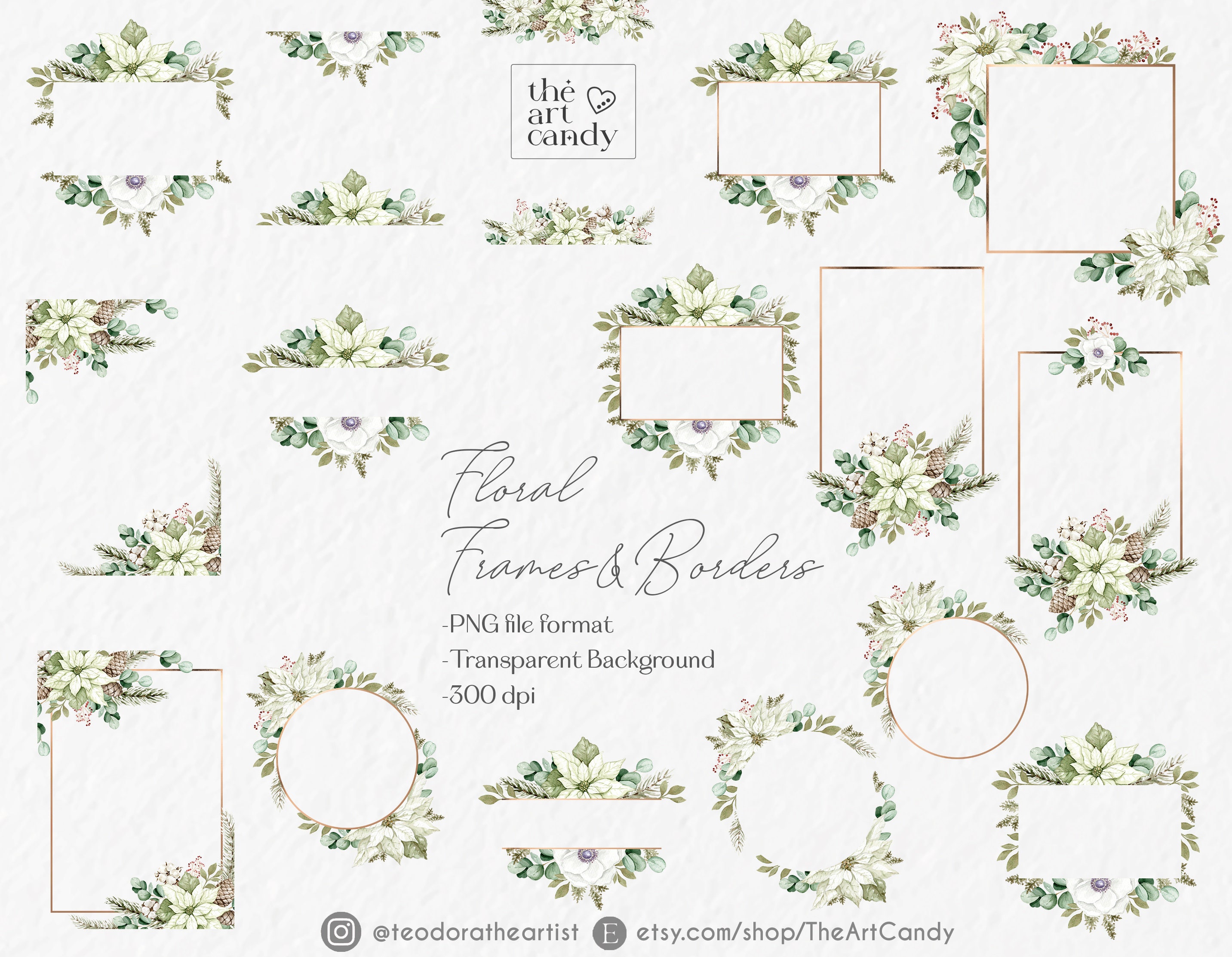 Watercolor White Poinsettia Clipart Set PNG Christmas Wreaths, Frames ...