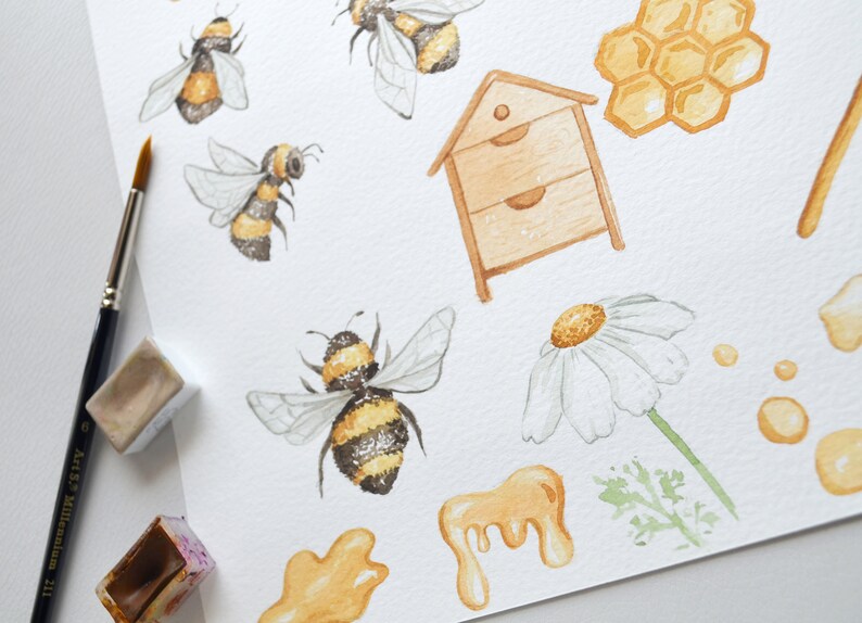 Watercolor Honey Bee Clipart PNG Hand Painted Watercolor - Etsy