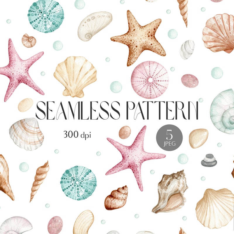 Seashell Watercolor - Etsy