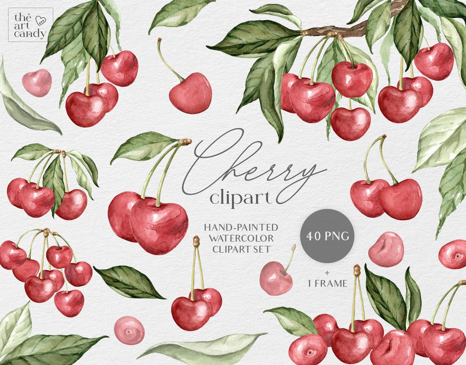 Hand Painted Cherry Watercolor Clipart Set | Hand Drawn Watercolor ...