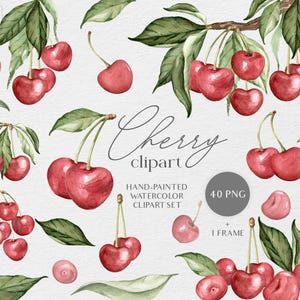 Hand Painted Cherry Watercolor Clipart Set | Hand Drawn Watercolor ...