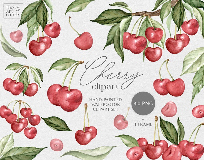Hand Painted Cherry Watercolor Clipart Set | Hand Drawn Watercolor ...