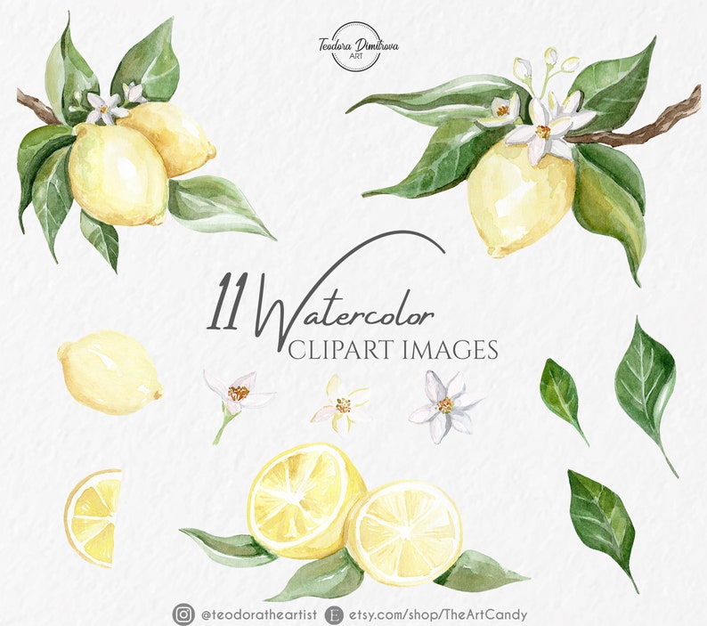 Lemon Tree Watercolor Clipart Set Hand Painted Watercolor | Etsy