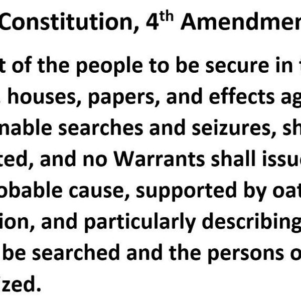 4th Amendment - Etsy