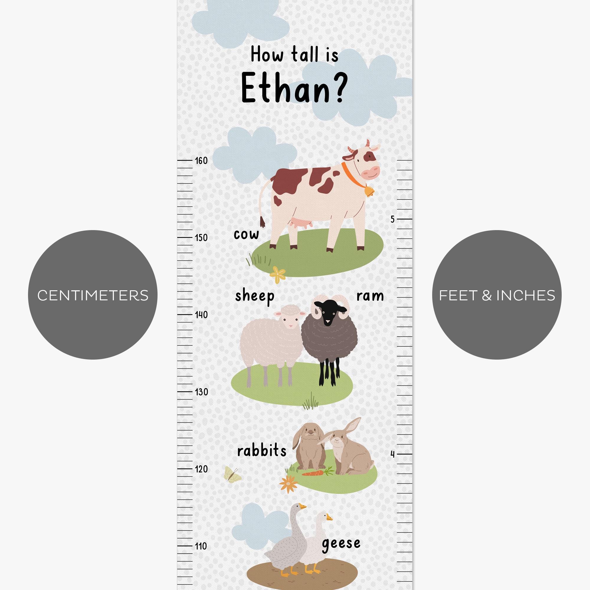 Personalised Farm Yard Animals Canvas Growth Chart, Farm Animals ...