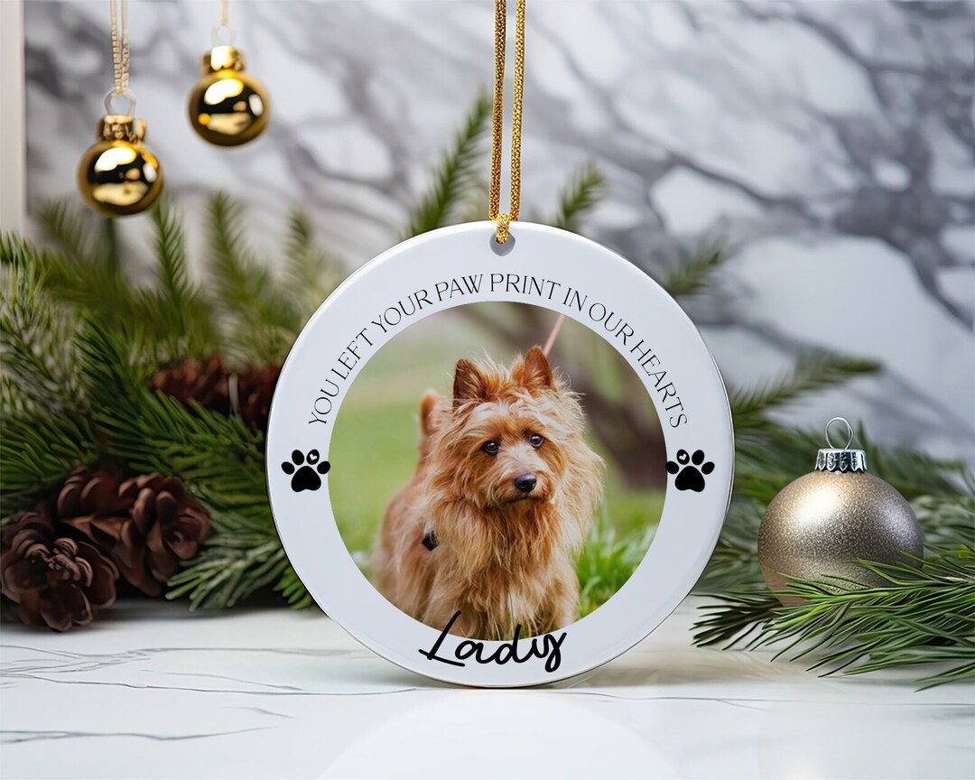 Personalized Pet Memorial Christmas Tree Bauble Dog and Cat - Etsy