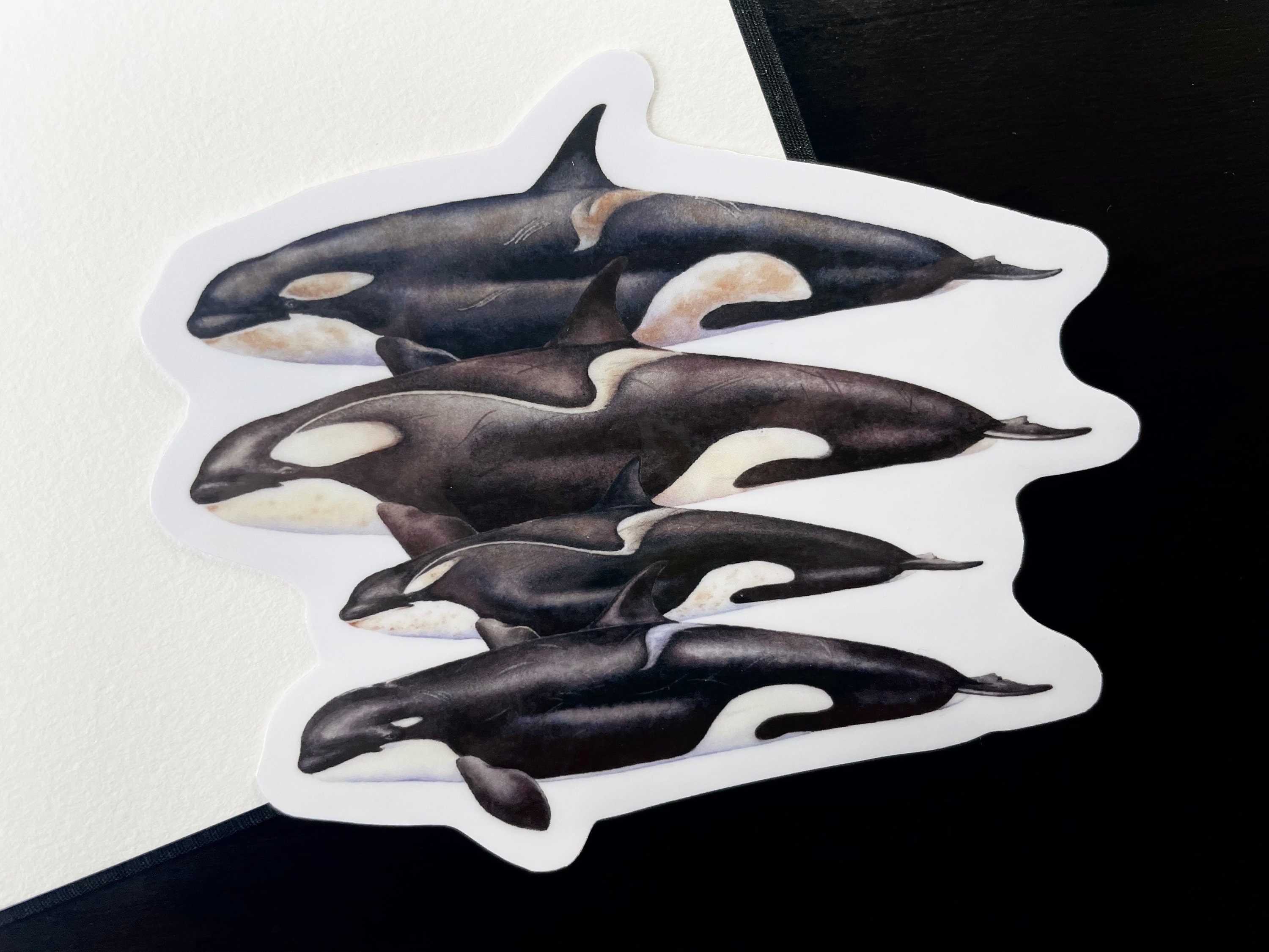 Orca Vinyl Sticker Waterproof Antarctic and Sub-antarctic - Etsy