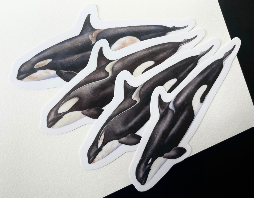 Orca Vinyl Sticker Waterproof Antarctic and Sub-antarctic - Etsy