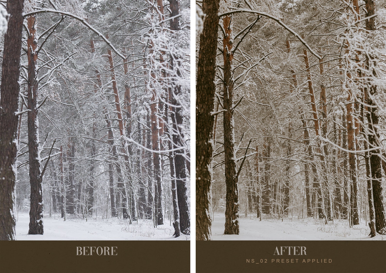 Natural Sienna- Desktop&mobile Vintage Film Lightroom Preset - Moody ...