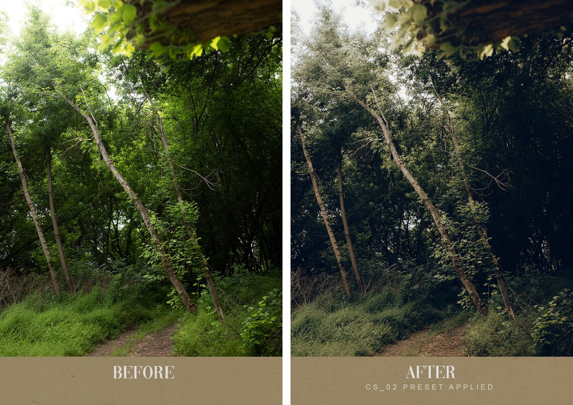 Creamy Silk- Colour Grading LUT Vintage Film Premiere Pro Final Cut ...