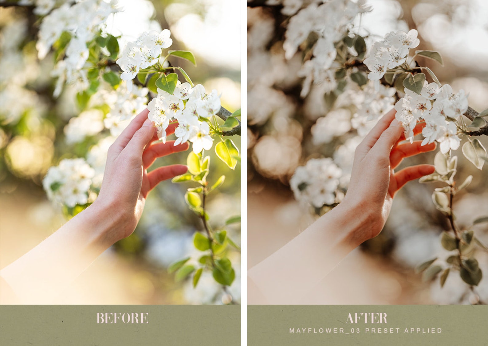 Mayflower- Colour Grading LUT Vintage Film Premiere Pro Final Cut Moody ...