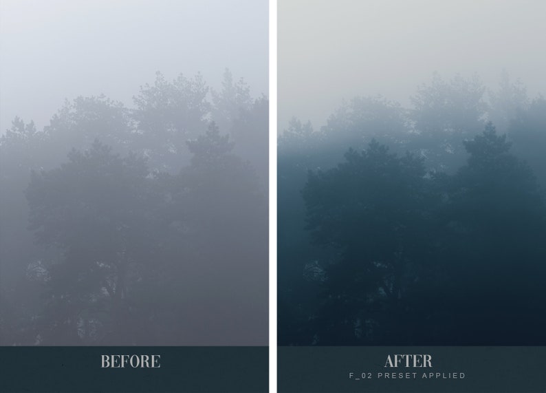 Foggage- Desktop&mobile Landscape Lightroom Preset Moody Editing ...