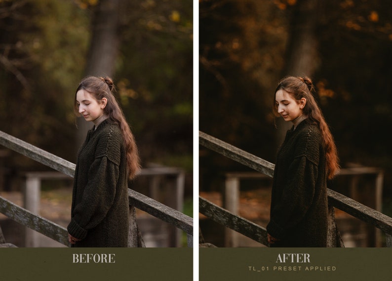 The Lark- Colour Grading LUT Vintage Film Premiere Pro Final Cut Moody ...