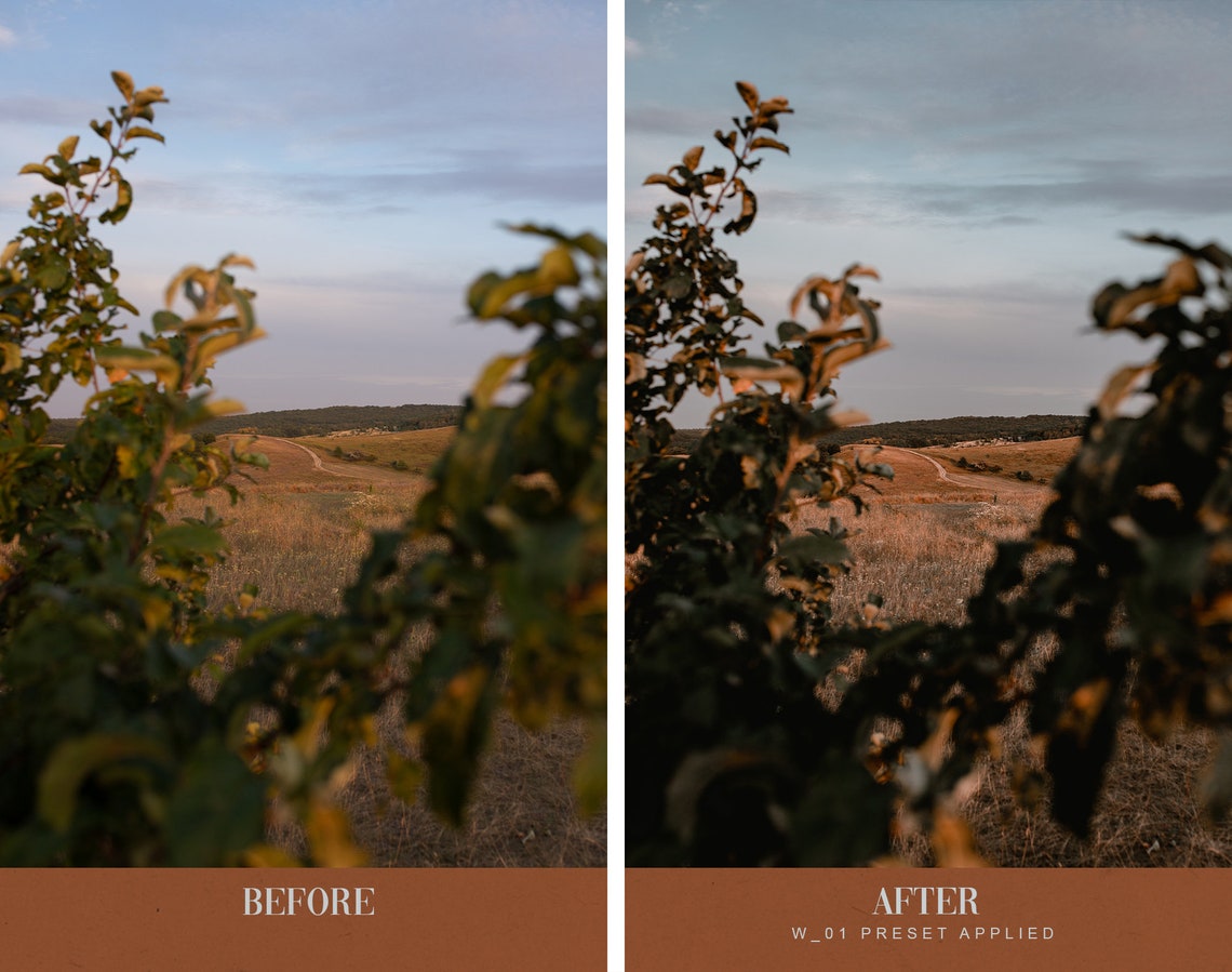 Waterfall- Colour Grading LUT Vintage Film Premiere Pro Final Cut Moody ...