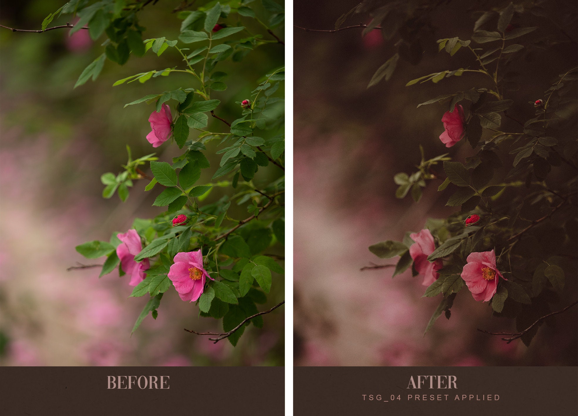 The Secret Garden- Colour Grading LUT Vintage Film Premiere Pro Final ...