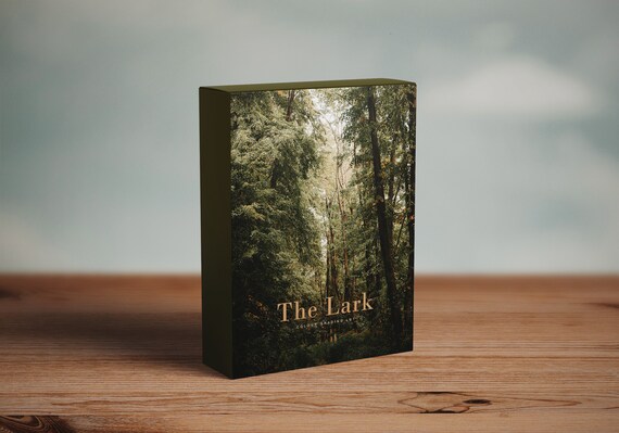 The Lark Colour Grading LUT Vintage Film Premiere Pro Final | Etsy
