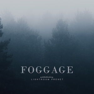 Foggage- Desktop&mobile Landscape Lightroom Preset Moody Editing ...