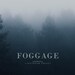 Foggage- Desktop&mobile Landscape Lightroom Preset Moody Editing ...