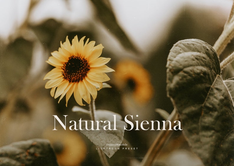 Natural Sienna Desktop&mobile Vintage Film Lightroom Preset - Etsy