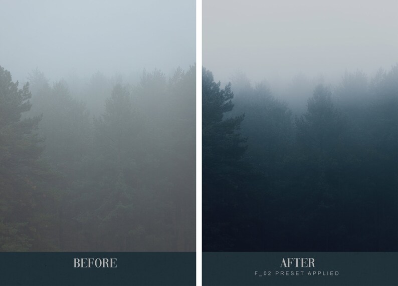 Foggage- Desktop&mobile Landscape Lightroom Preset Moody Editing ...