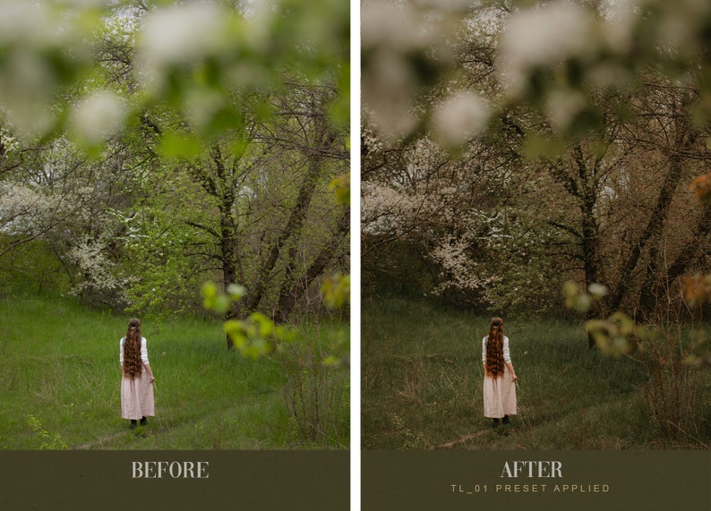 The Lark- Colour Grading LUT Vintage Film Premiere Pro Final Cut Moody ...