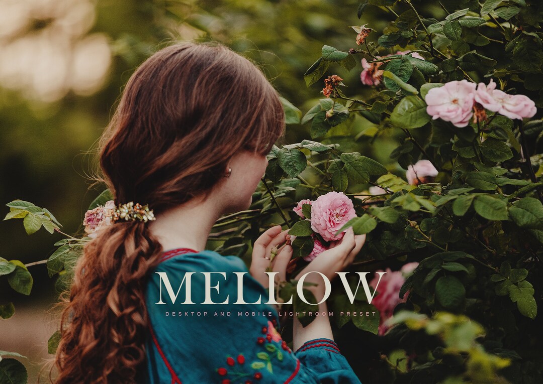 Mellow- Desktop&mobile Vintage Film Lightroom Preset Moody Editing ...